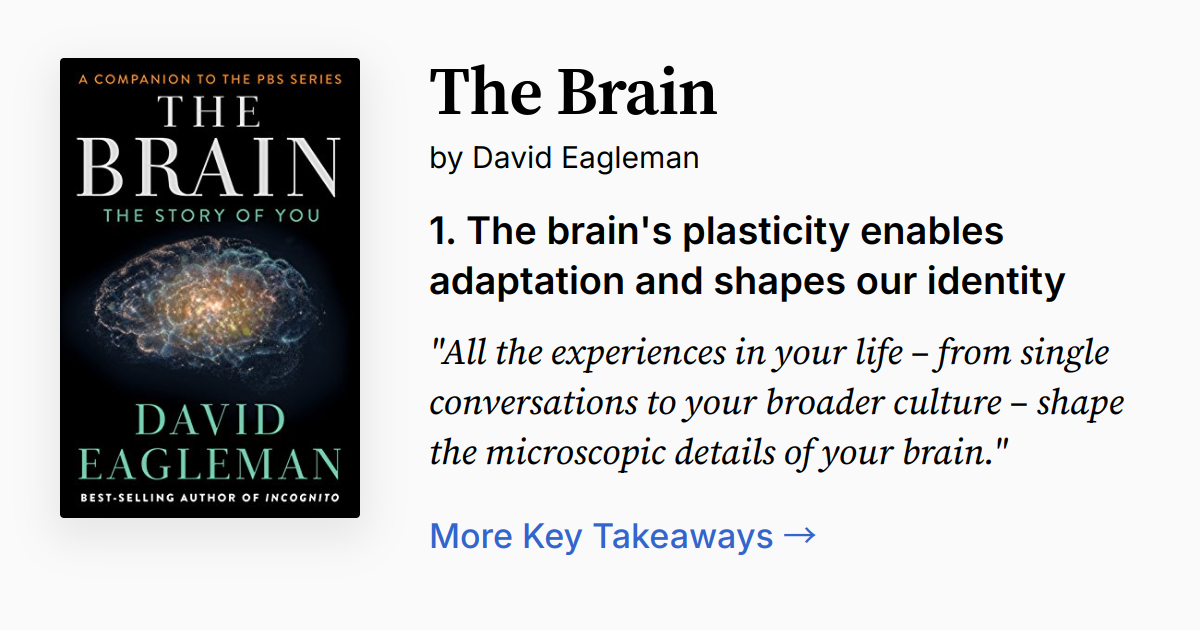 The Brain by David Eagleman | Summary, Quotes, FAQ, Audio