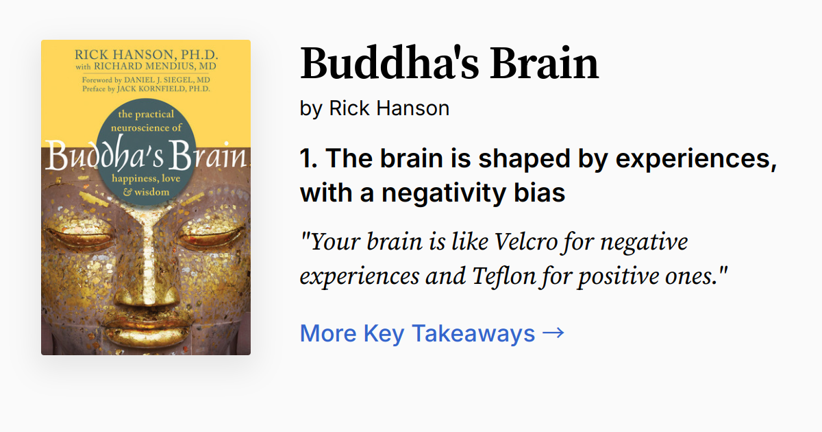 Buddha's Brain by Rick Hanson | Summary, Audio, Quotes, FAQ