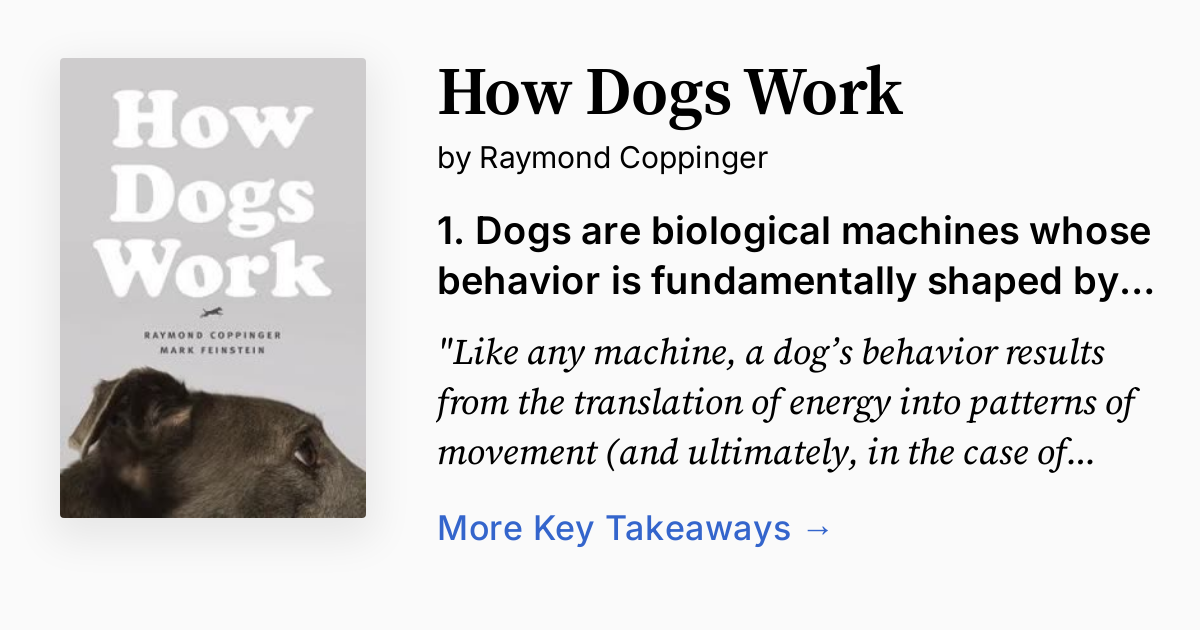 How Dogs Work by Raymond Coppinger | Summary, Audio, Quotes