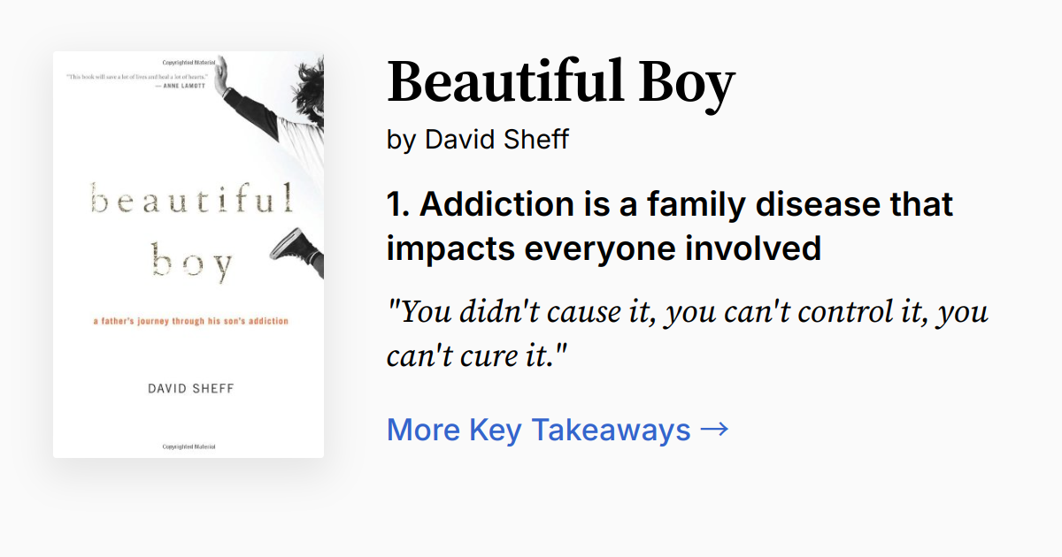 Beautiful Boy by David Sheff | Summary, Audio, Quotes, FAQ